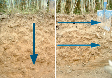 Simplification du travail du sol - A2C le site de l'agriculture de ...