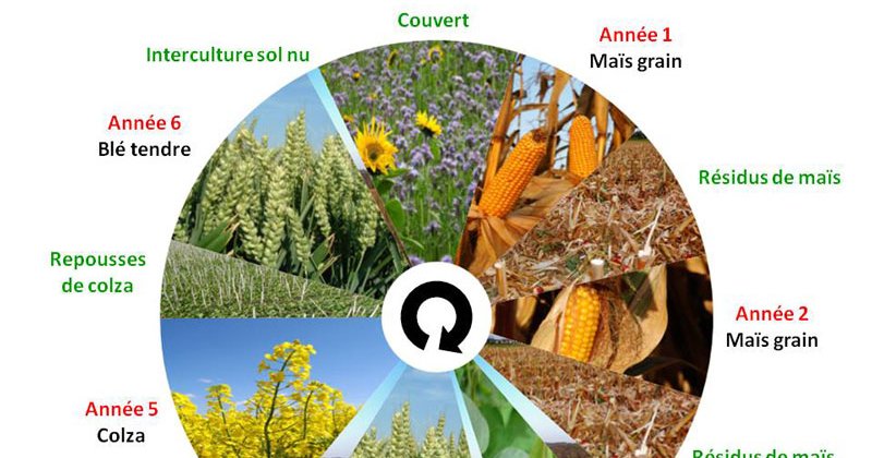 Une rotation à la Dwayne Beck pour surprendre la nature - A2C le site ...