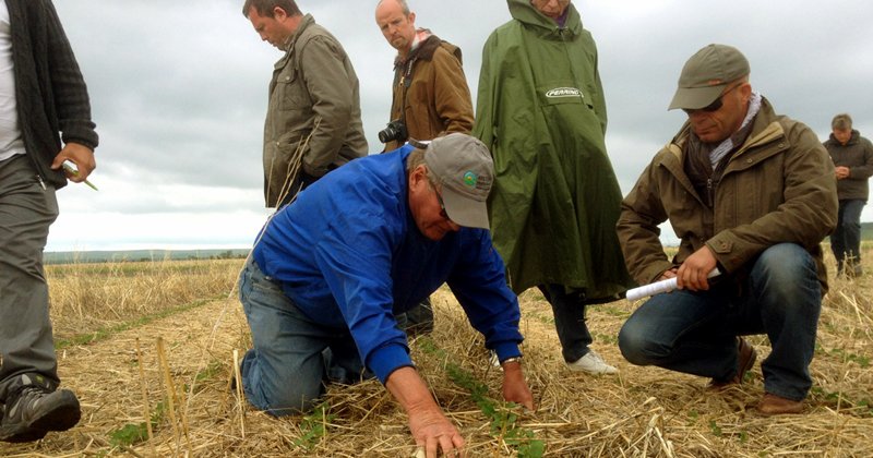 Classification des types de rotation des cultures - A2C le site de l ...